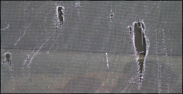 PTCondo.com|Window Screen Repairs Pending