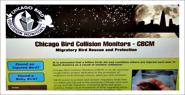 PTCondo.com|Migratory Bird Season Is Here…