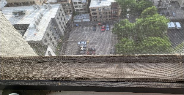 PTCondo.com|Mayflies! Scourge Of High Rise Windows…